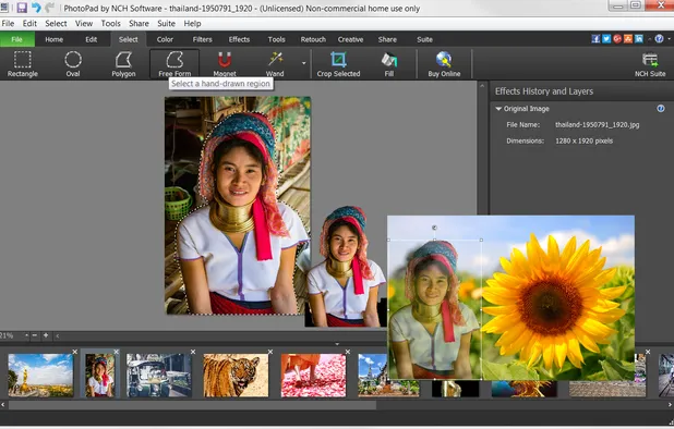 PixelLab - Pic Collage Maker Alternatives: Top 7 Photo Sharing ...