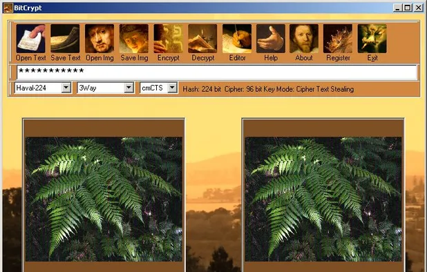 Outguess Alternatives for Windows | AlternativeTo