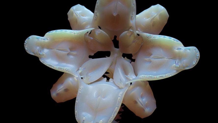 appleseed: Modern, open source, physically-based rendering engine ...