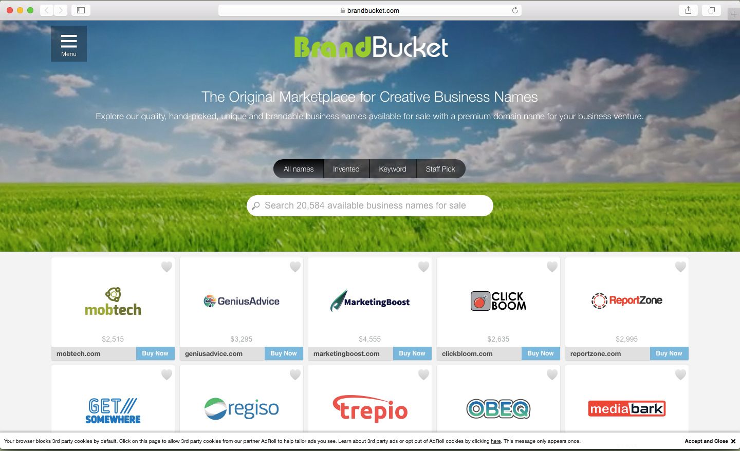 BrandBucket Alternatives - Explore Similar Sites & Apps | AlternativeTo