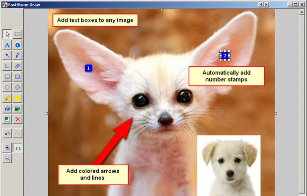 Best Lightshot Alternatives: Top Screenshot Capture Tools in 2025 ...