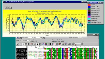 BioEdit: Biological sequence alignment editor | AlternativeTo
