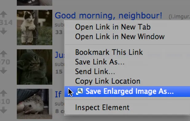 Imagus Alternatives: Top 9 Image Viewers & Similar Apps | AlternativeTo