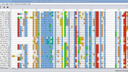 AliView: Sequence alignment viewer and editor | AlternativeTo