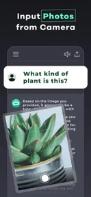 Genie AI Chatbot: Genie is a revolutionary AI chatbot powered by ...