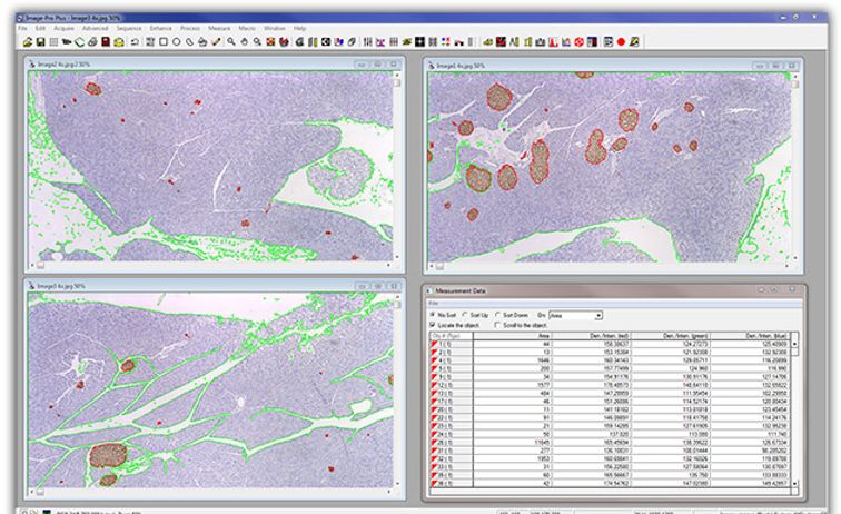 Icy Image Processing Alternatives and Similar Software | AlternativeTo