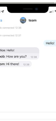 9 Best Tox Alternatives: Top Instant Messengers in 2024 | AlternativeTo