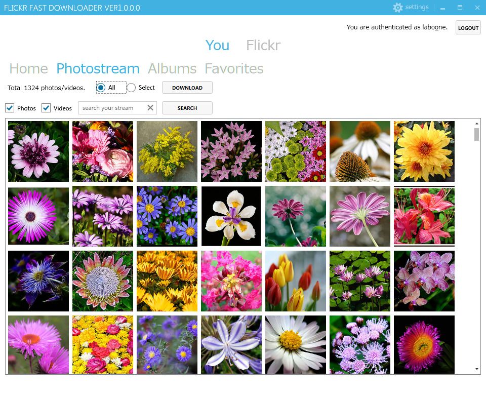 Flickr Fast Downloader Alternatives and Similar Software | AlternativeTo