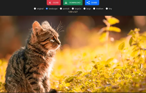 ImageAssistant Batch Image Downloader Alternatives: Top 9 Image ...