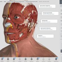 Complete Anatomy: App Reviews, Features, Pricing & Download | AlternativeTo