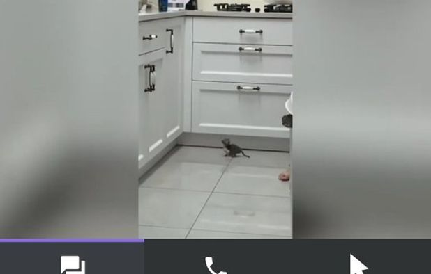 Rave Alternatives: Top 12 Watch Videos Together Tools & Similar Apps ...