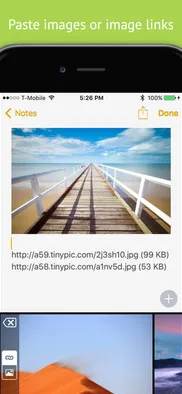 PiXhost Alternatives: Top 12 Image Hosting Services | AlternativeTo