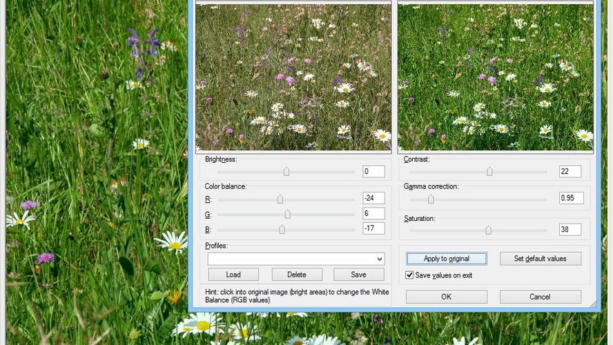 IrfanView: Fast, compact image viewer, editor, converter and organizer ...