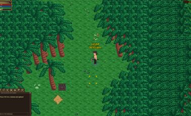 5 Games Like Tibia: Similar MMORPG Games & Role-playing Games ...