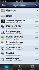 OpenDrive: Remote drive for your computer | AlternativeTo