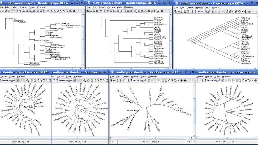 TreeView Alternatives and Similar Software | AlternativeTo