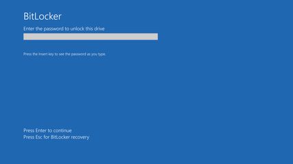 Windows BitLocker: BitLocker Drive Encryption is a data protection ...