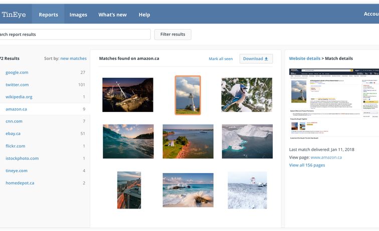 Google Images Alternatives: Top 10 Image Search Engines & Similar ...