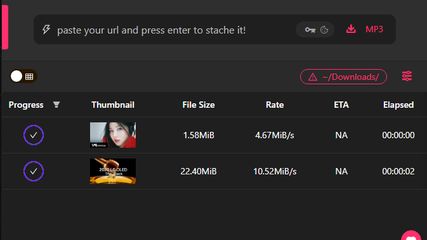 Stacher: Video downloader from over 1000 sites including YouTube ...