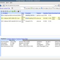 Deluge: App Reviews, Features, Pricing & Download | AlternativeTo