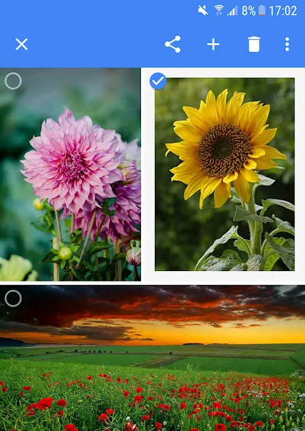 Secure photo viewer Alternatives and Similar Apps | AlternativeTo