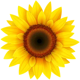 VideoPsalm: Free worship presentation software for churches ...