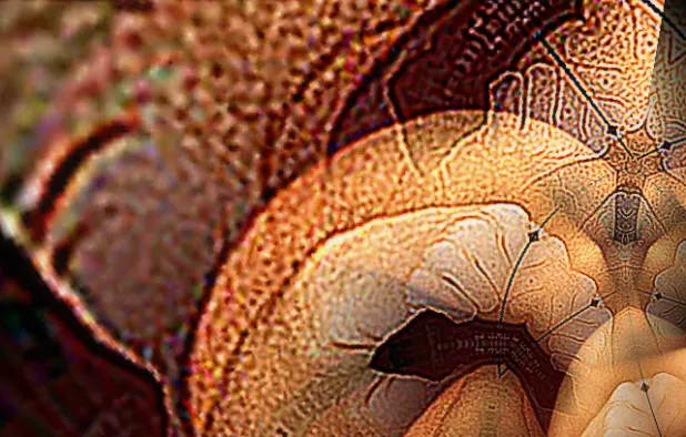 Photomosh Alternatives - Explore Similar Sites & Apps | AlternativeTo