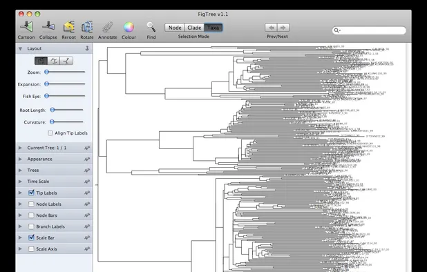 TreeView Alternatives and Similar Software | AlternativeTo