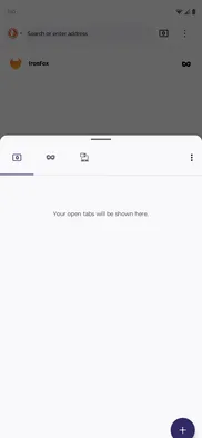 IronFox: Secure, hardened and privacy oriented browser based on Firefox | AlternativeTo