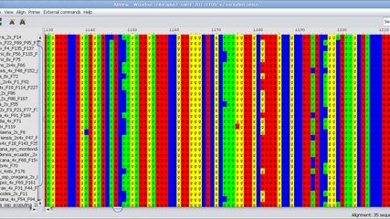AliView: Sequence alignment viewer and editor | AlternativeTo