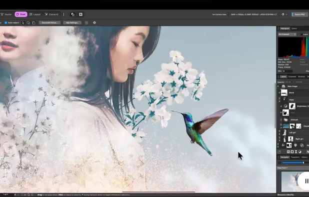 Procreate Alternatives for Windows: Top 12 Digital Painting Tools ...