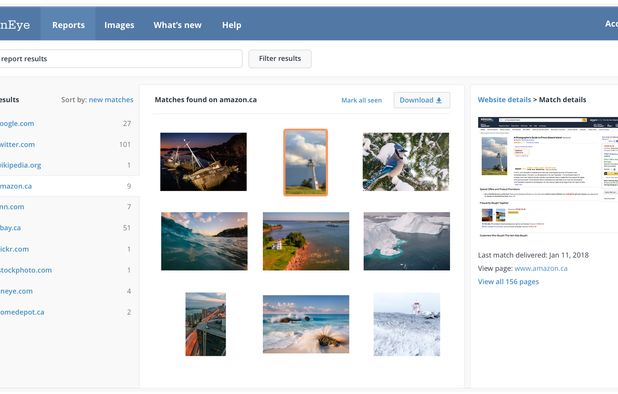 Google Images Alternatives: Top 10 Image Search Engines & Similar ...