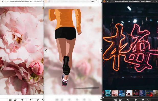 Pictureflect Photo Viewer Alternatives: 25+ Image Viewers | AlternativeTo
