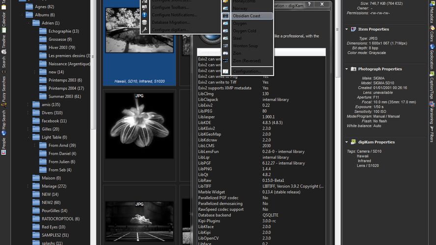 digiKam: Professional digital photo management software to organize ...
