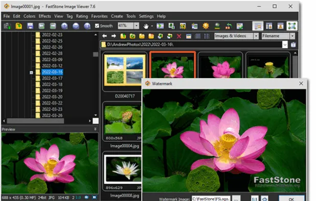 Best Picasa Alternatives: Top Photo Managers & Image Viewers in 2025 ...