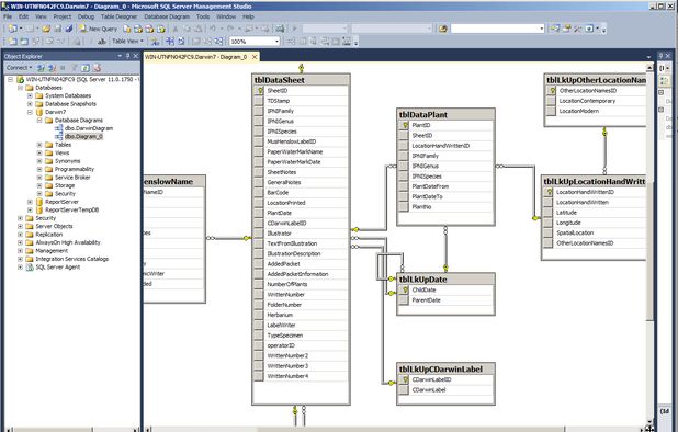 Great Oracle Database Alternatives: Top Relational Databases in 2024 | AlternativeTo