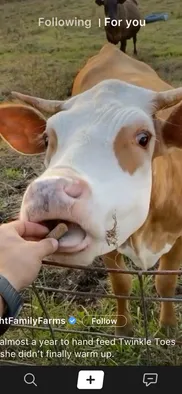 Clapper - Video, Live, Chat: Clapper is a fast-growing social media ...