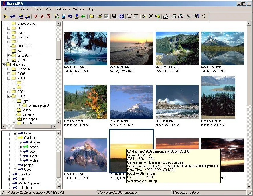 SuperJPG Alternatives: Top 3 Image Viewers and similar apps | AlternativeTo
