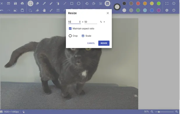 PaintZ: Simple drawing and image editing app, similar to Microsoft ...