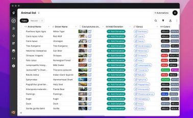 Quickbase Alternatives and Similar Sites & Apps | AlternativeTo