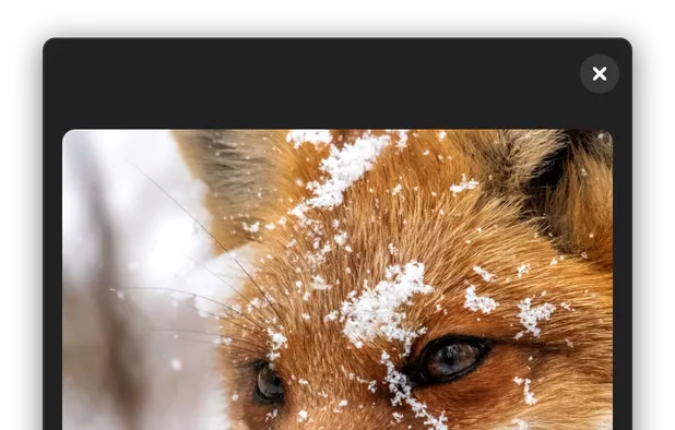 Adobe Lightroom Alternatives for Linux: Top 16 Photo Managers ...