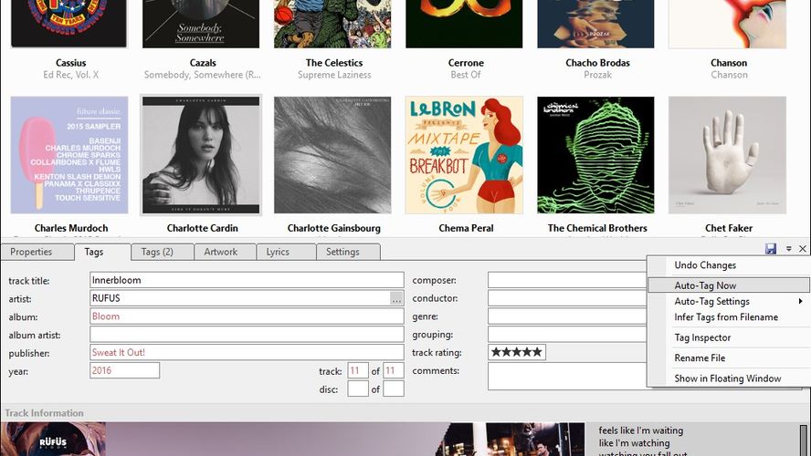MusicBee: Makes it easy to manage, find, and play music files on your ...