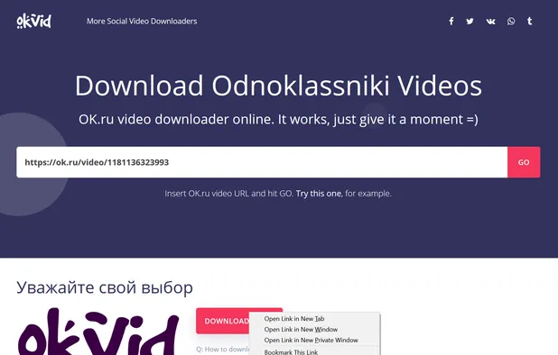 OK Video Downloader: OkVid helps download and back up your videos from ...