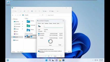 Tiny11: A lightweight and efficient Windows 11 experience | AlternativeTo