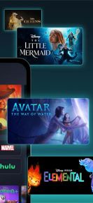 7 Best Netflix Alternatives: Top Video Streaming Apps in 2024 ...