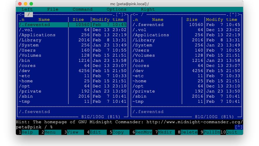 terminalpp: (terminal++) is a minimalist but powerful terminal emulator ...