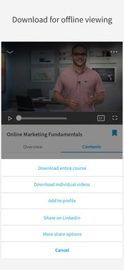 Great freeCodeCamp Alternatives: Top Code Learning Services in 2023 ...