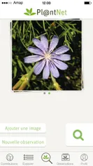 Pl@ntNet: With the Pl@ntNet app, identify one plant from a picture, and ...