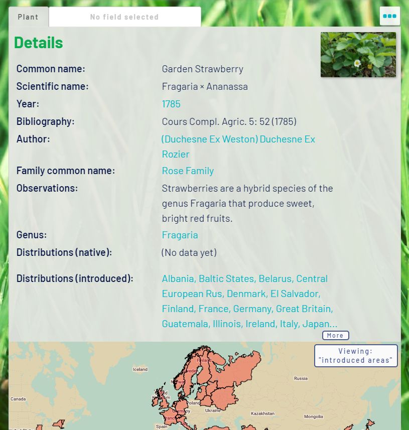 anyPlant Alternatives: Top 10 Plant Identification Apps & Similar ...