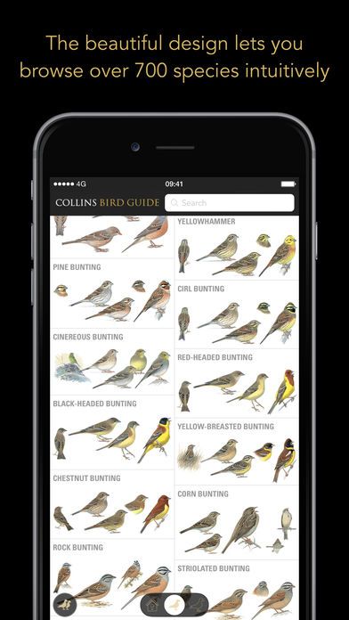Collins Bird Guide Alternatives and Similar Apps | AlternativeTo